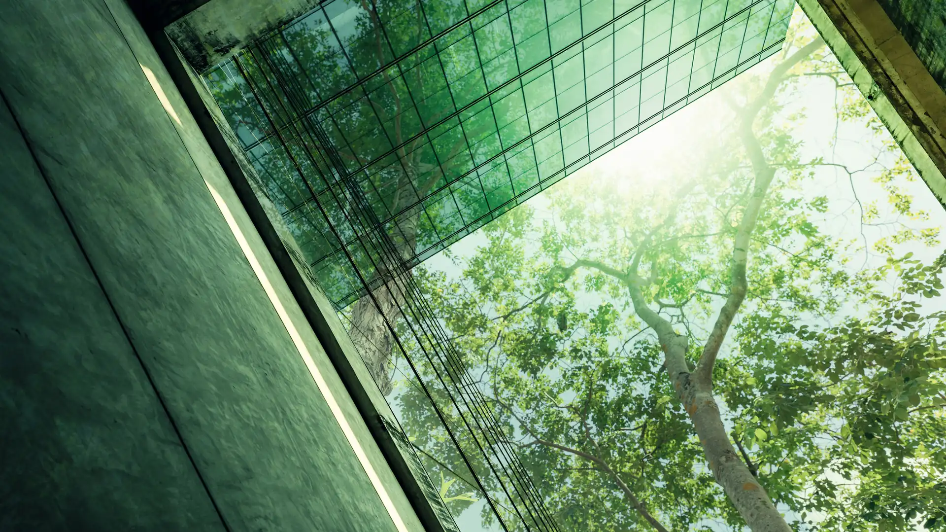 Could carbon capture be the key to decarbonising heavy industry? | Wood
